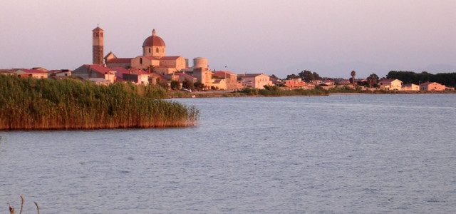 Cabras: Altro | ViaggiArt