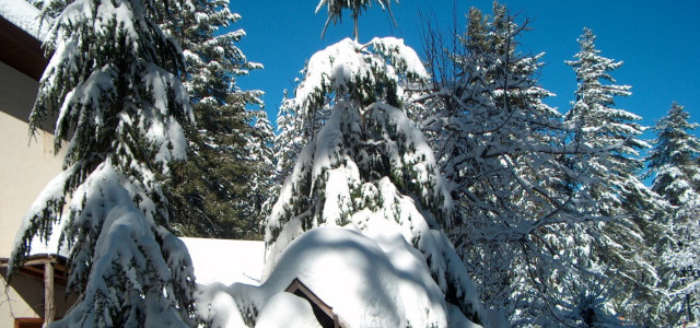 Serra Pedace: Visita guidata | ViaggiArt