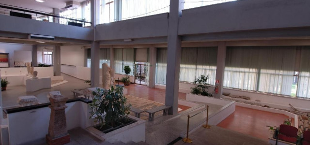 Sassari Museo Viaggiart