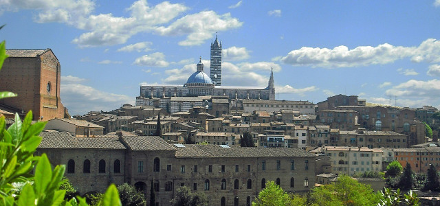 Focus sulle Contrade di Siena, tra storia e curiosità | ViaggiArt