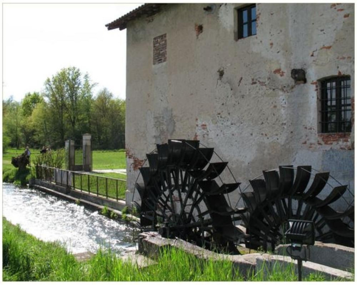 Cameri: cosa vedere e cosa fare | ViaggiArt