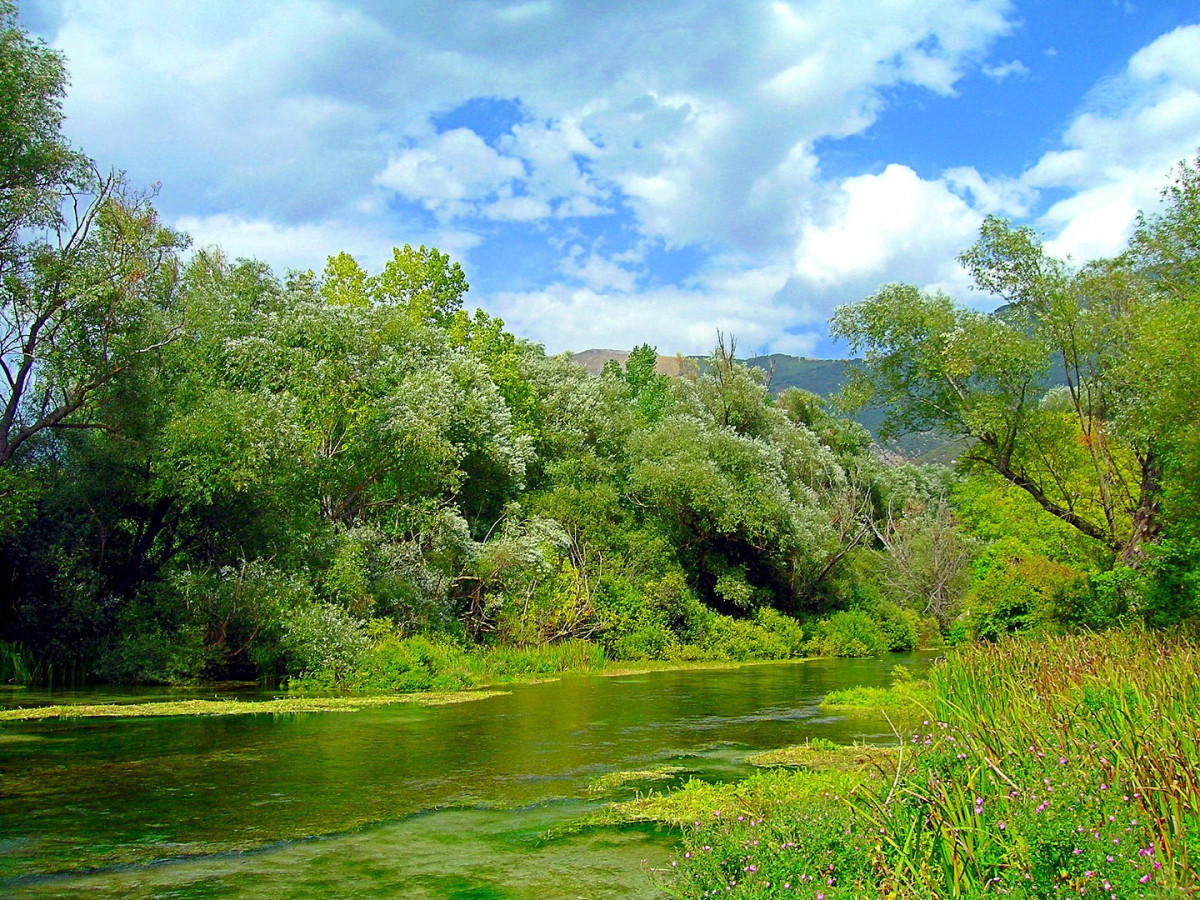 Mulini del Lago di Capo d'Acqua (Capestrano) | ViaggiArt