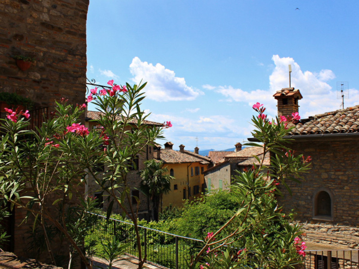 Montone: cosa vedere e cosa fare | ViaggiArt