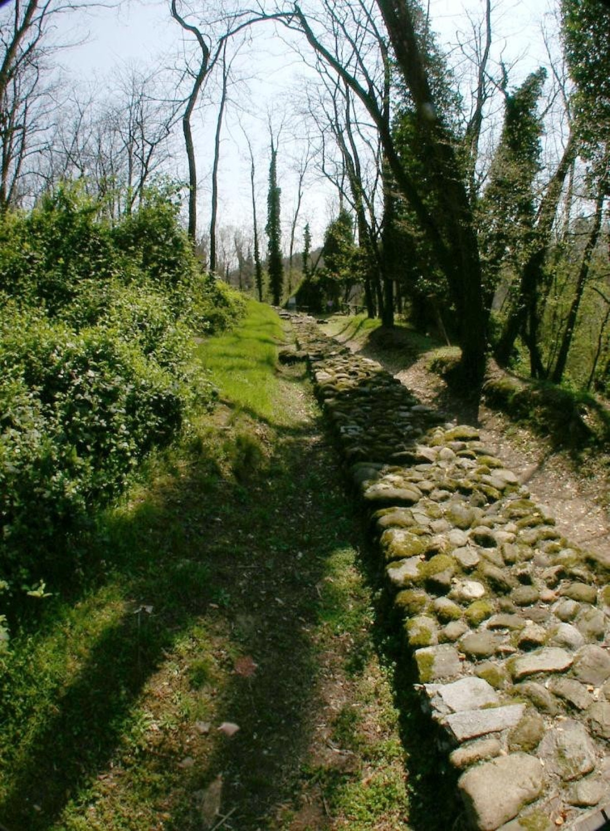 Castelseprio: cosa vedere e cosa fare | ViaggiArt