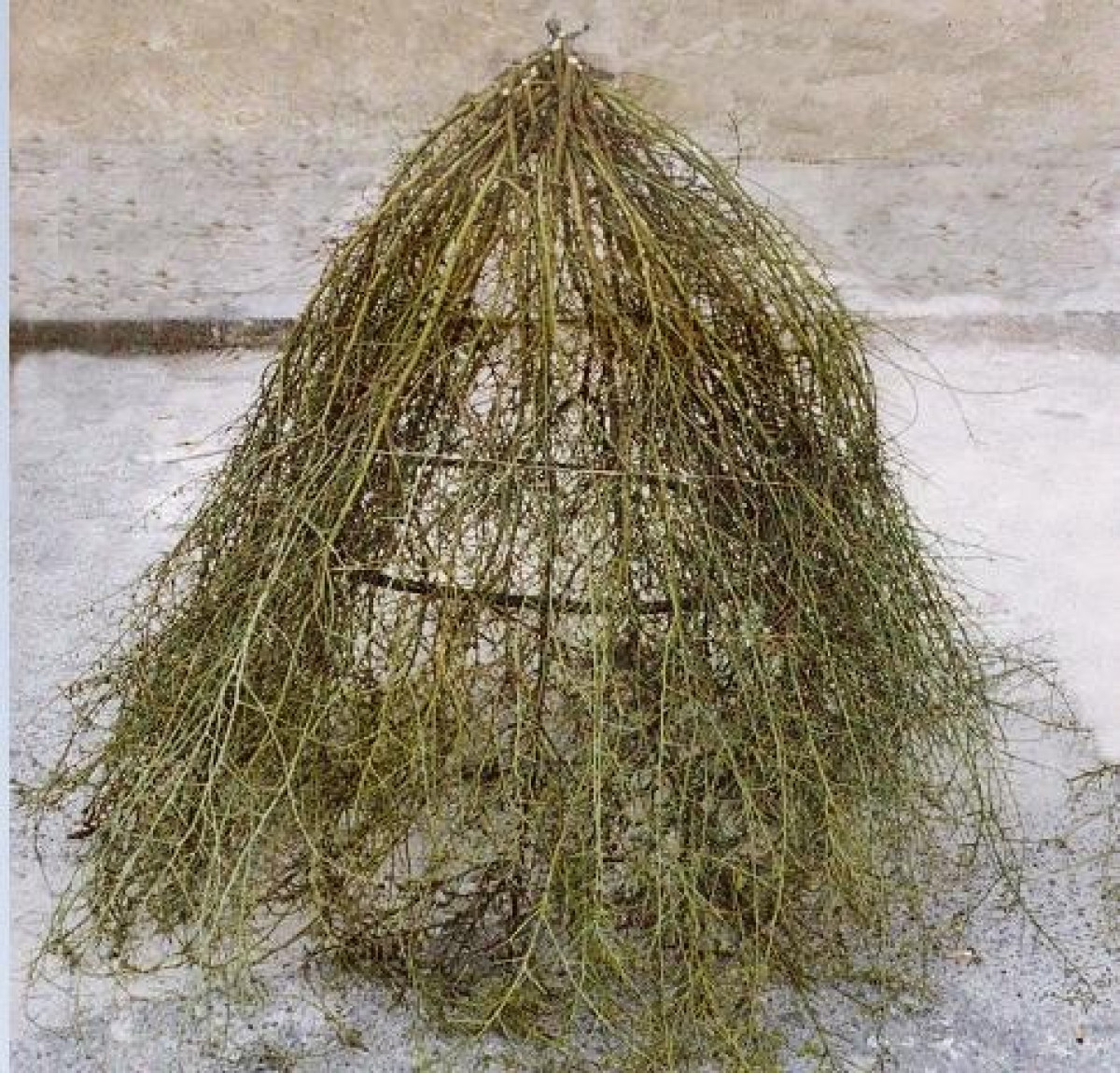 Museo di Etnografia e Folklore Raffaele Corso (Palmi) | ViaggiArt