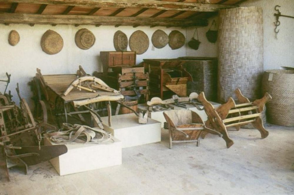 Controguerra: cosa vedere e cosa fare | ViaggiArt