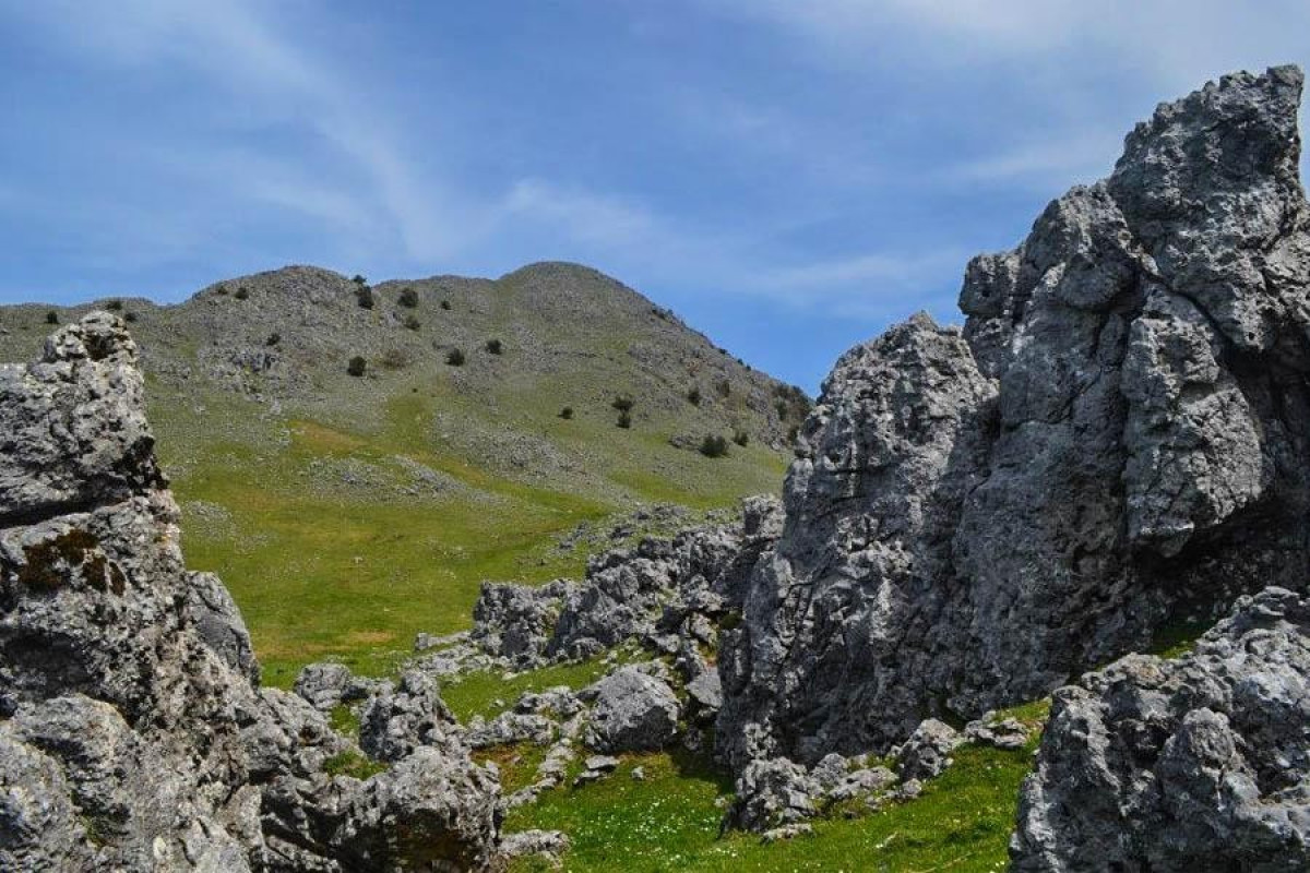 Vetta Monte Cocuzzo - Sentiero Italia (CAI) (Belmonte Calabro) | ViaggiArt