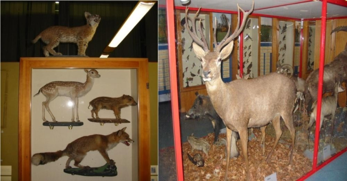 Jerago con Orago: cosa vedere e cosa fare | ViaggiArt