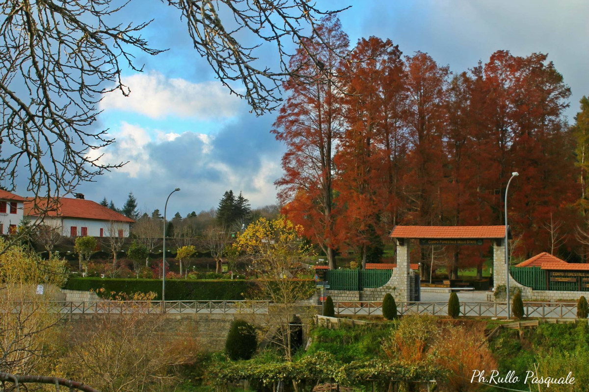 Mongiana: cosa vedere e cosa fare | ViaggiArt