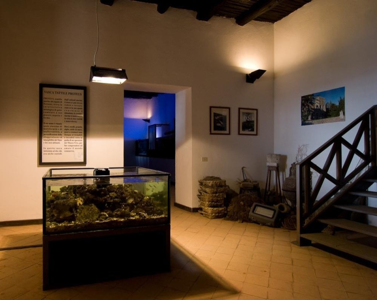 Pollica: cosa vedere e cosa fare | ViaggiArt