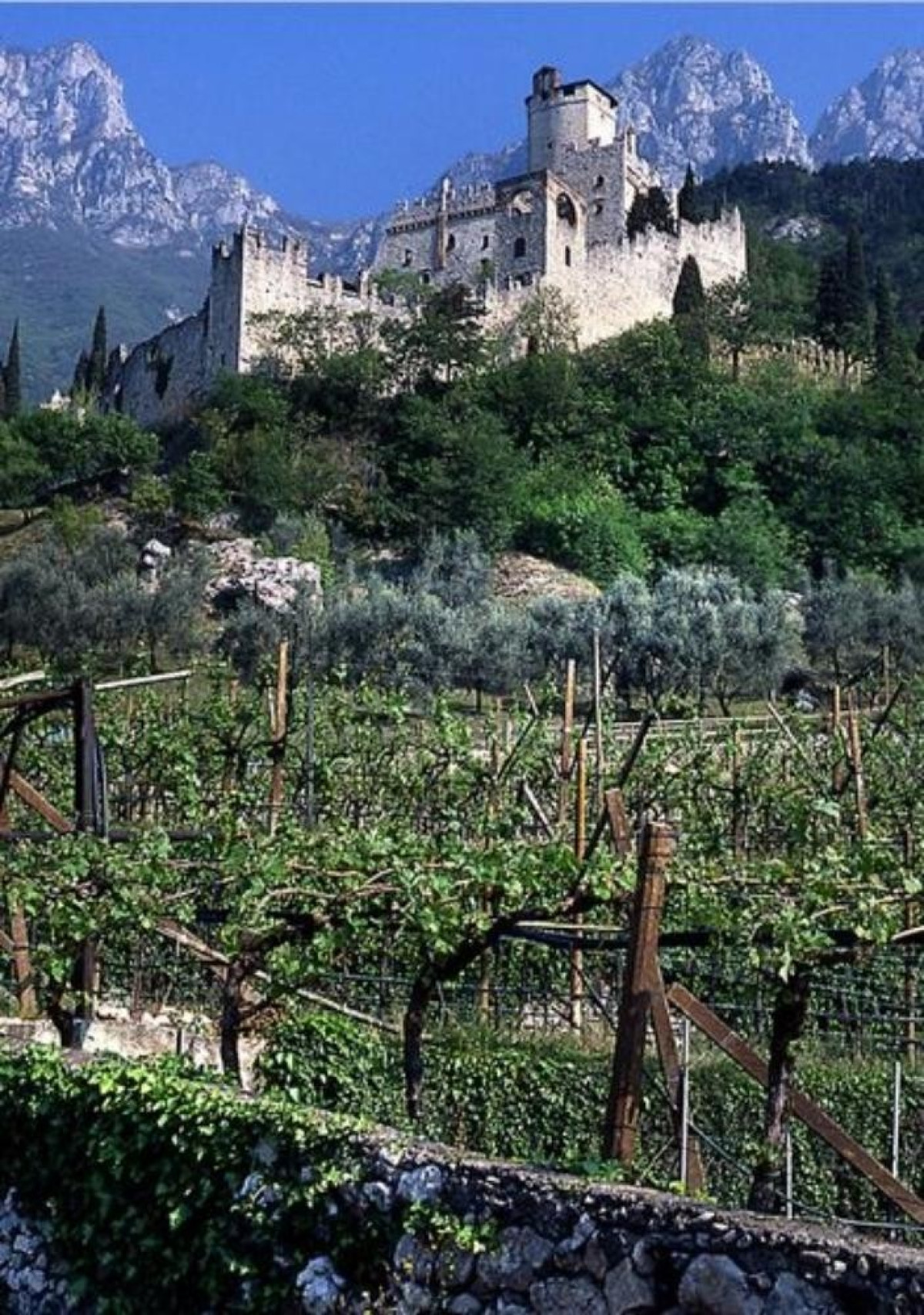 Avio: cosa vedere e cosa fare | ViaggiArt