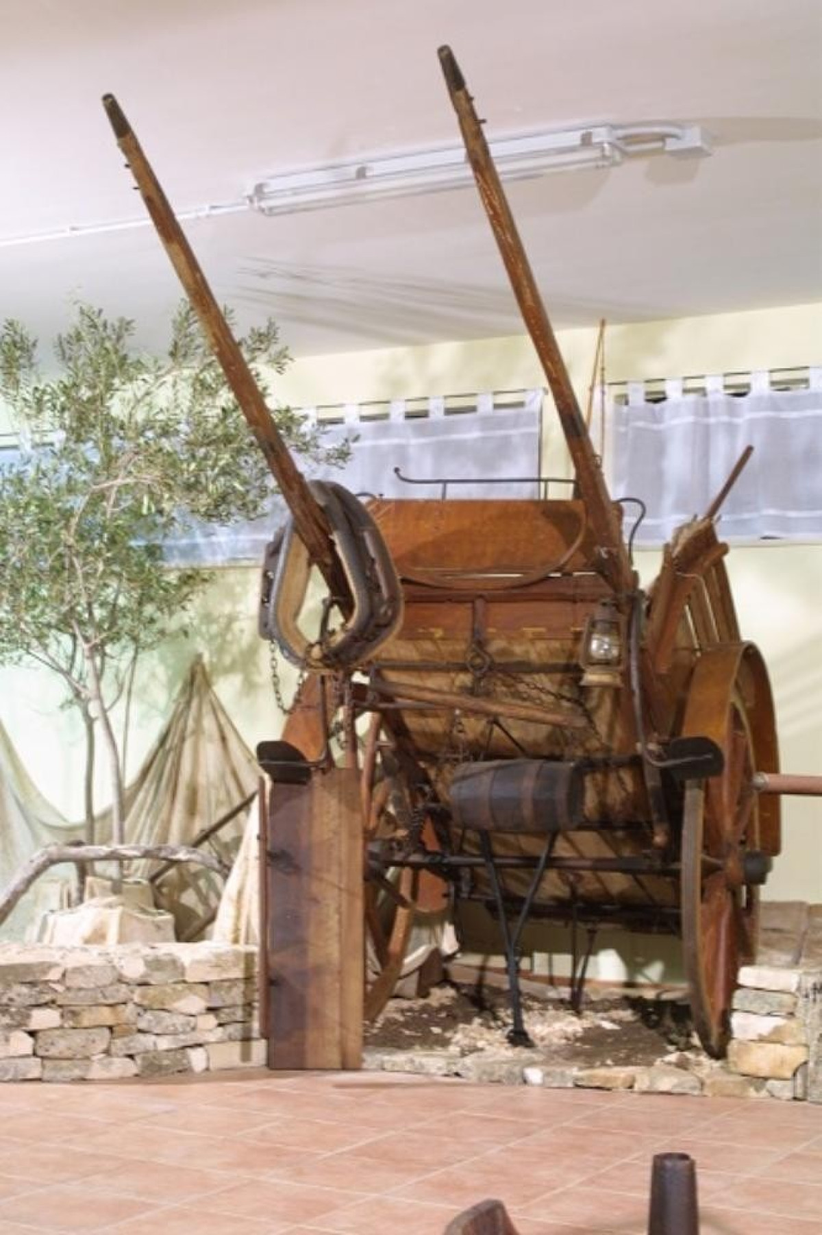 Terlizzi: cosa vedere e cosa fare | ViaggiArt